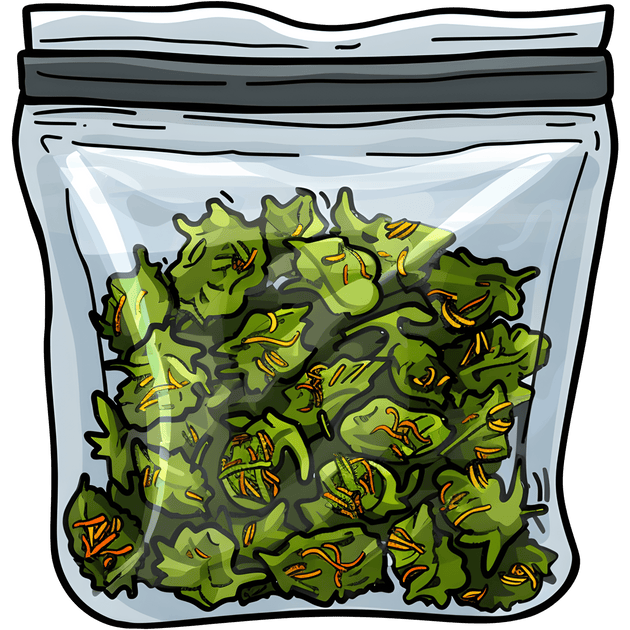 Bud Life 1 DTF (direct-to-film) Transfer – Twisted Image Transfers