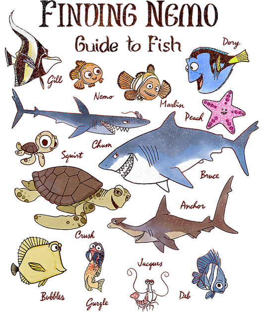 Finding Nemo Guide to Fish DTF (direct-to-film) Transfer – Twisted ...