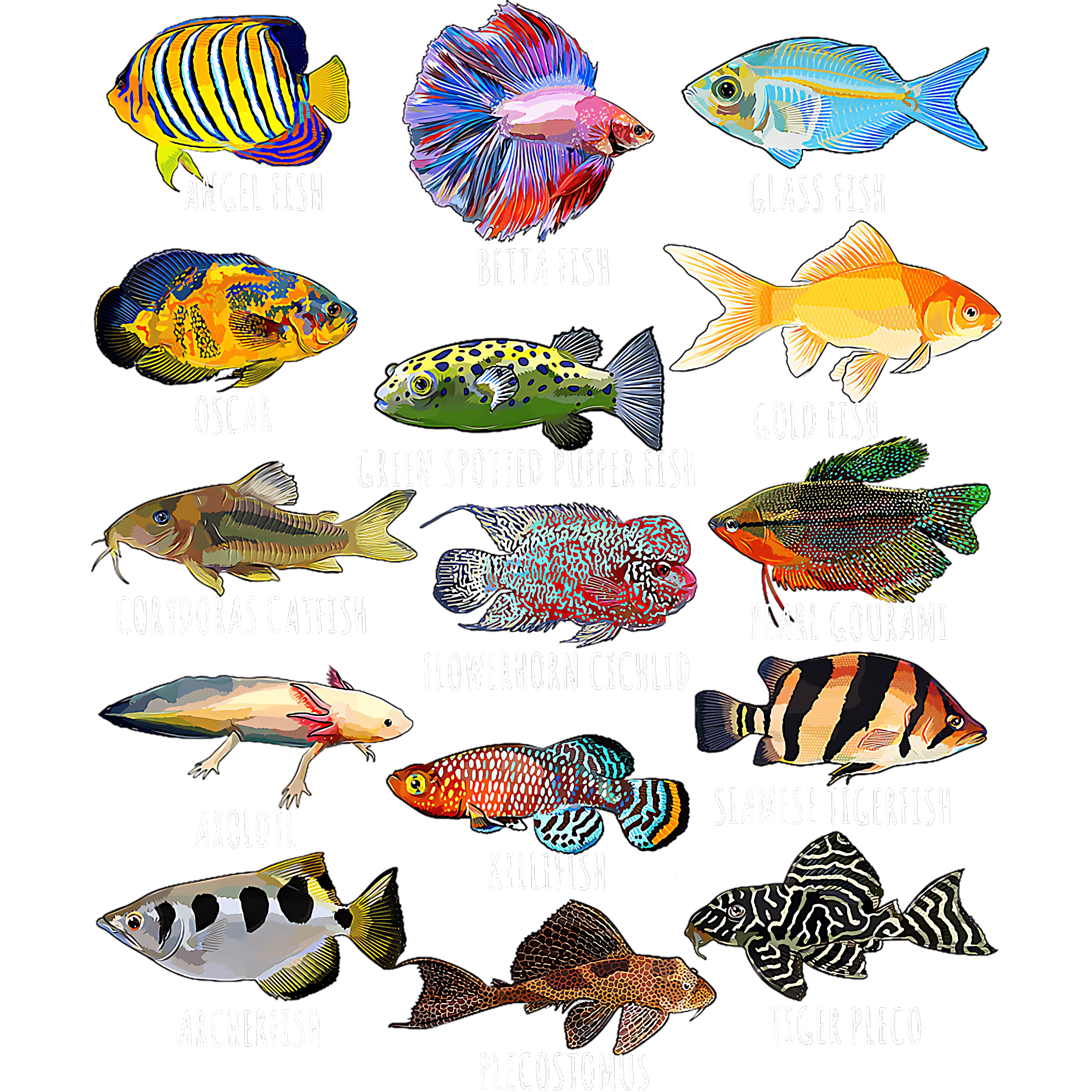 Fish of all Types DTF (direct-to-film) Transfer – Twisted Image Transfers