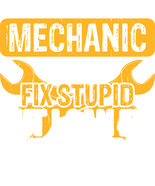 Fix Stupid Mechanic DTF (direct-to-film) Transfer – Twisted Image Transfers