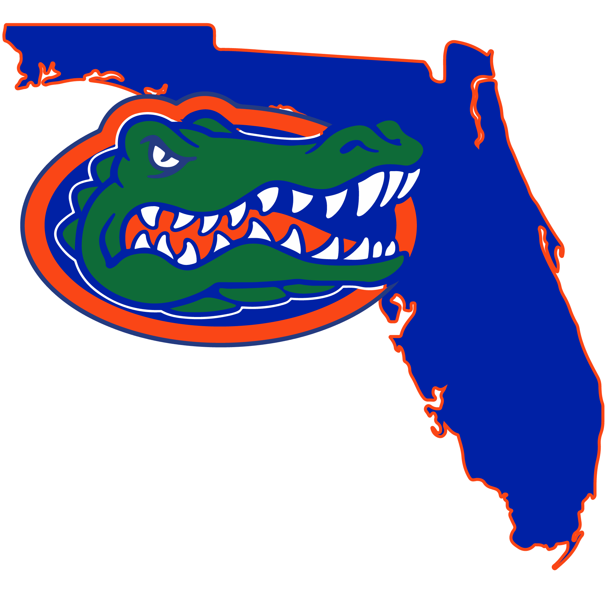 Gators-50 DTF (direct-to-film) Transfer – Twisted Image Transfers