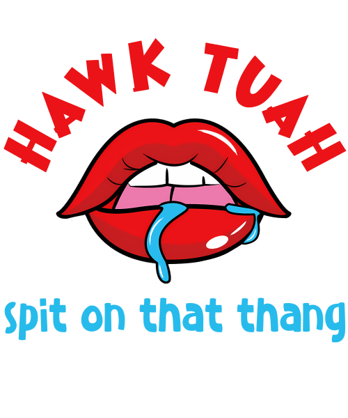 Hawk Tuah 29 DTF (direct-to-film) Transfer – Twisted Image Transfers