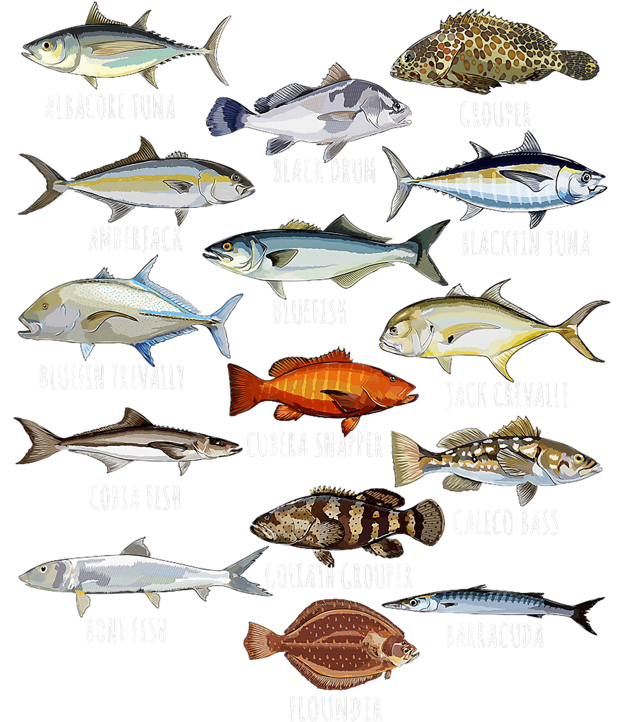 Rows of Random Fish DTF (direct-to-film) Transfer – Twisted Image Transfers