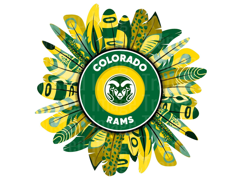 Colorado Rams 20 oz Skinny Straight Tumbler Wrap – Twisted Image Transfers
