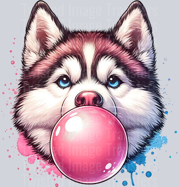 HUSKY BLOWING A BUBBLE PNG – Twisted Image Transfers