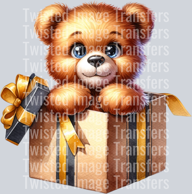 Teddy Bear in Box DTF (direct-to-film) Transfer – Twisted Image Transfers