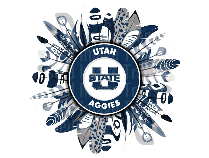 Utah Aggies 20 oz Skinny Straight Tumbler Wrap – Twisted Image Transfers