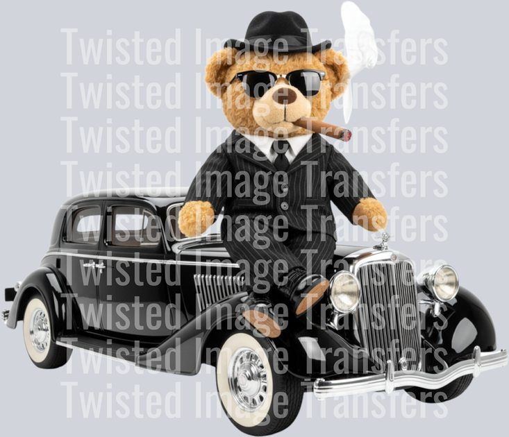 Fancy Teddy Bear DTF (direct-to-film) Transfer – Twisted Image Transfers
