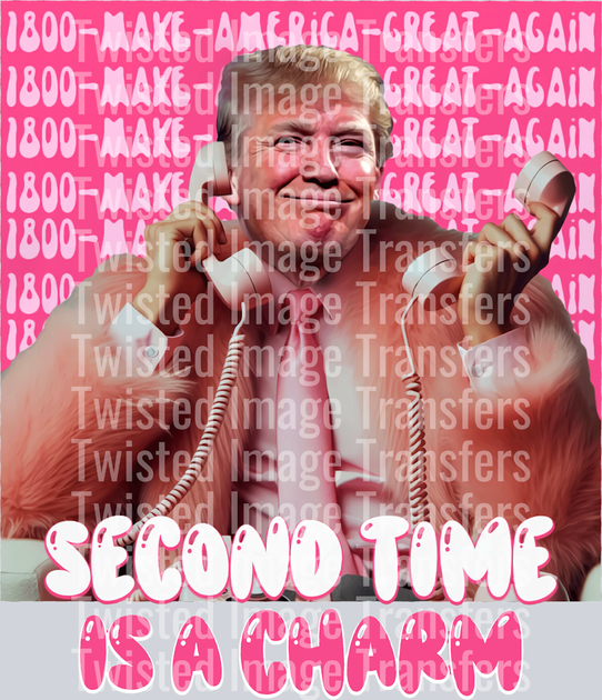 Second Time is a Charm Trump DTF (direct-to-film) Transfer – Twisted ...