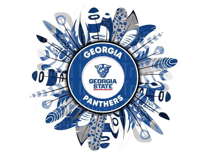 Georgia Panthers 20 oz Skinny Straight Tumbler Wrap – Twisted Image ...